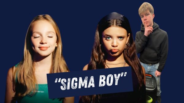 Was Ist Ein Sigma Boy?